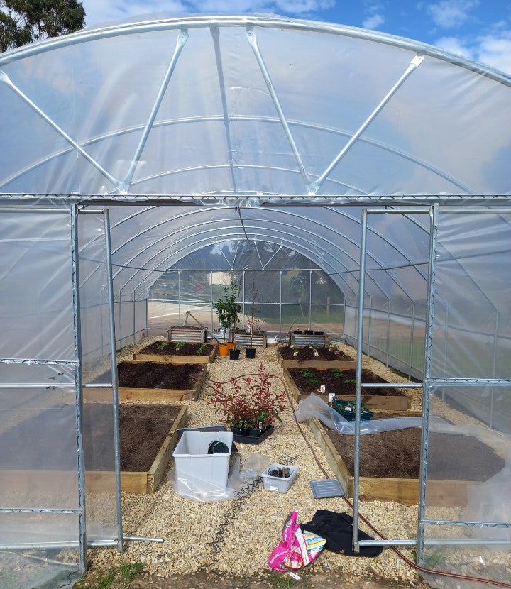 Polytunnel Soil Health: How Microbes Boost Crop Yields Naturally