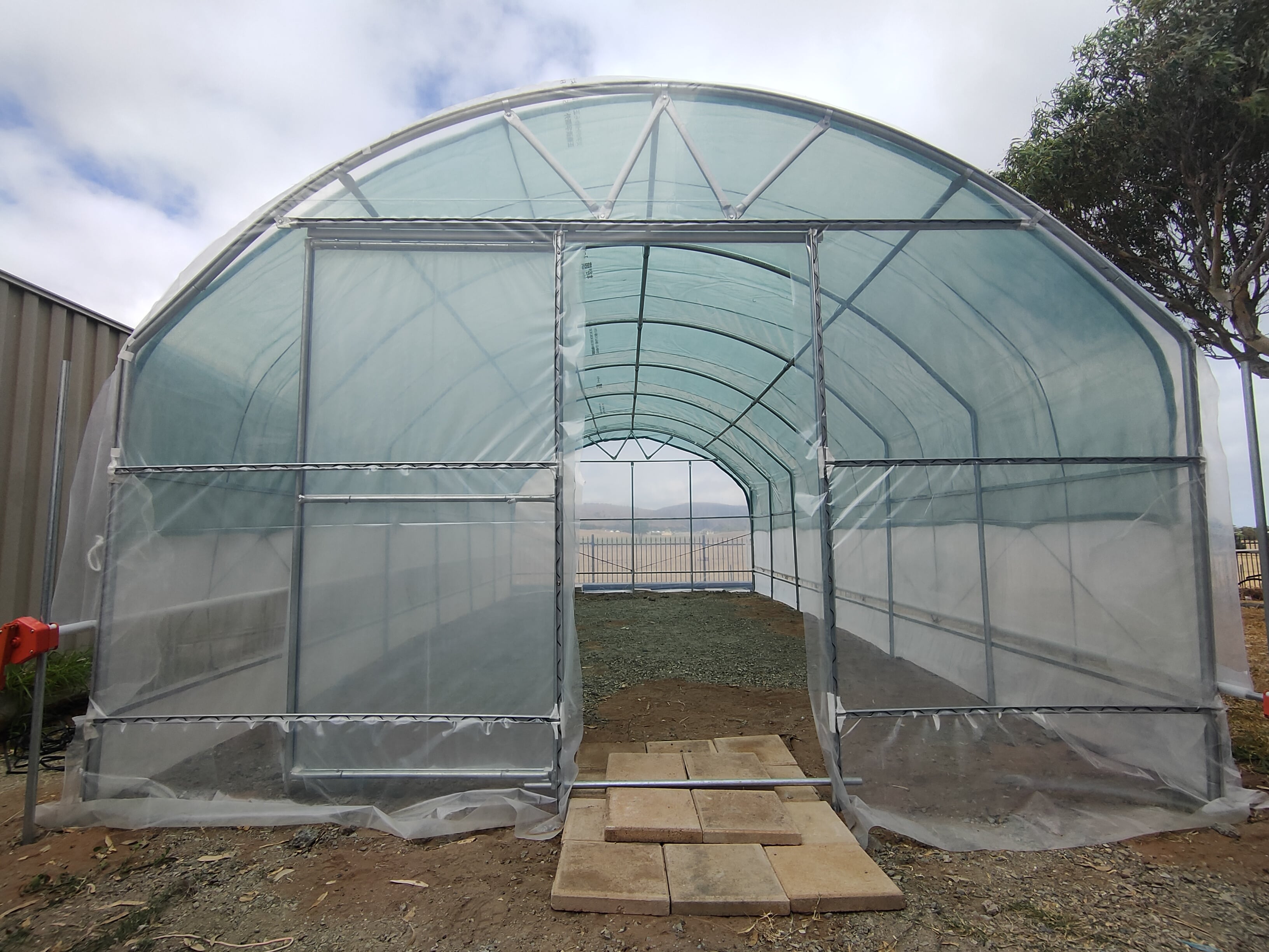 Christmas Polytunnel Projects: Prep Your Greenhouse for a Bumper Summe