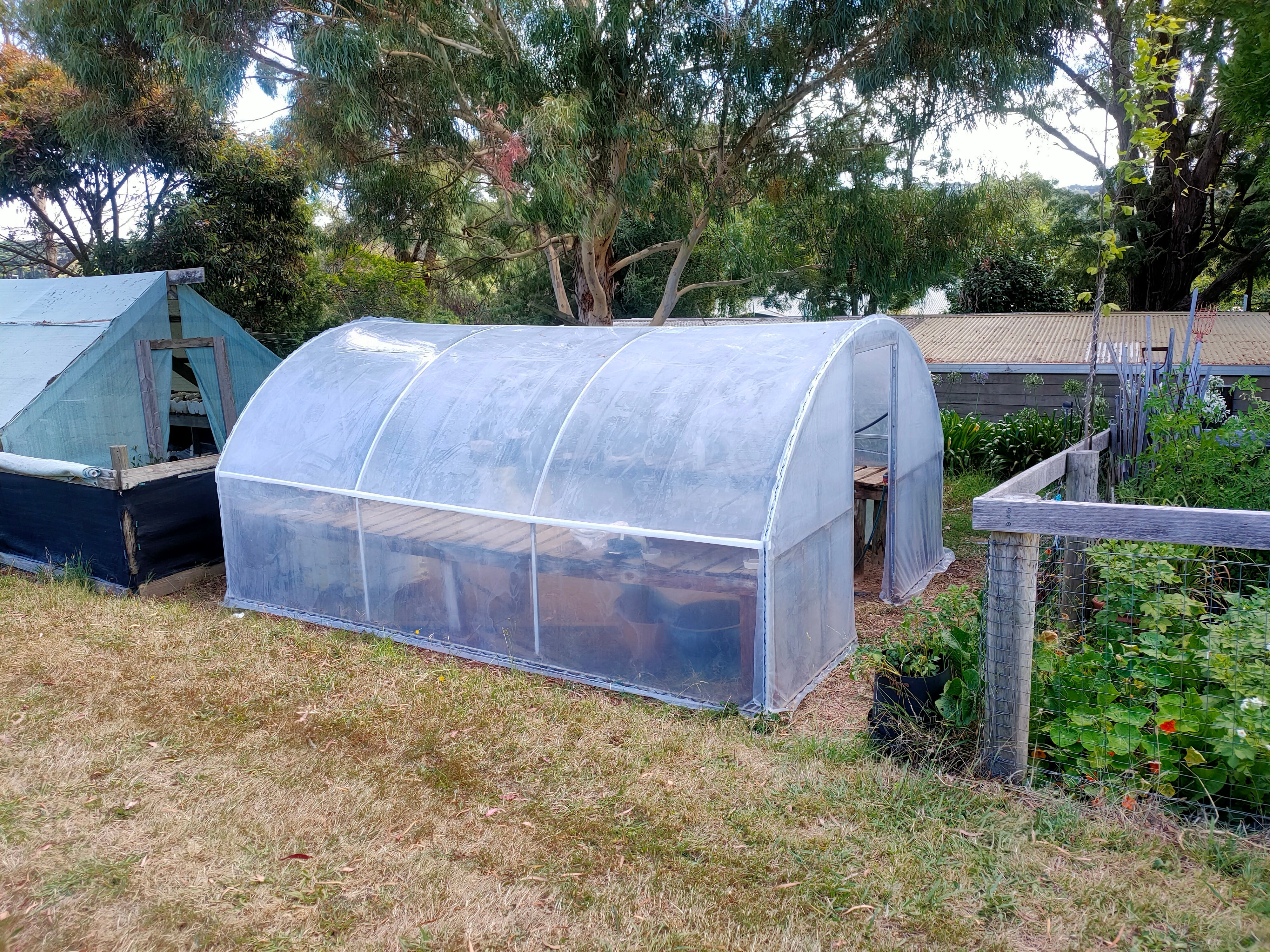 6 Polytunnel Gardening Benefits for Reliable, High-Yield Harvests