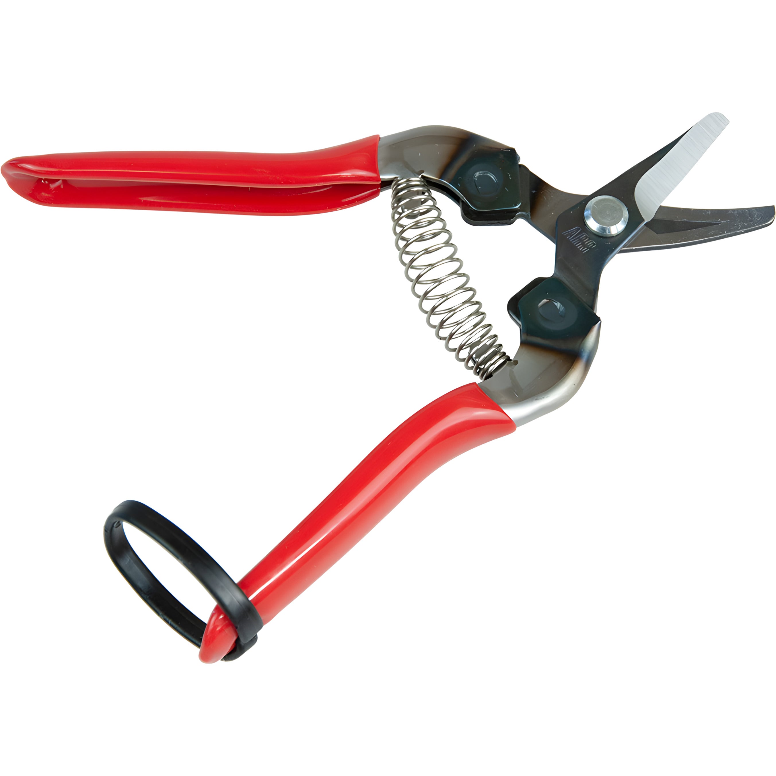 Ars Curved Nose Fruit Snips - 155mm & 160mm Length - Precision Harvest