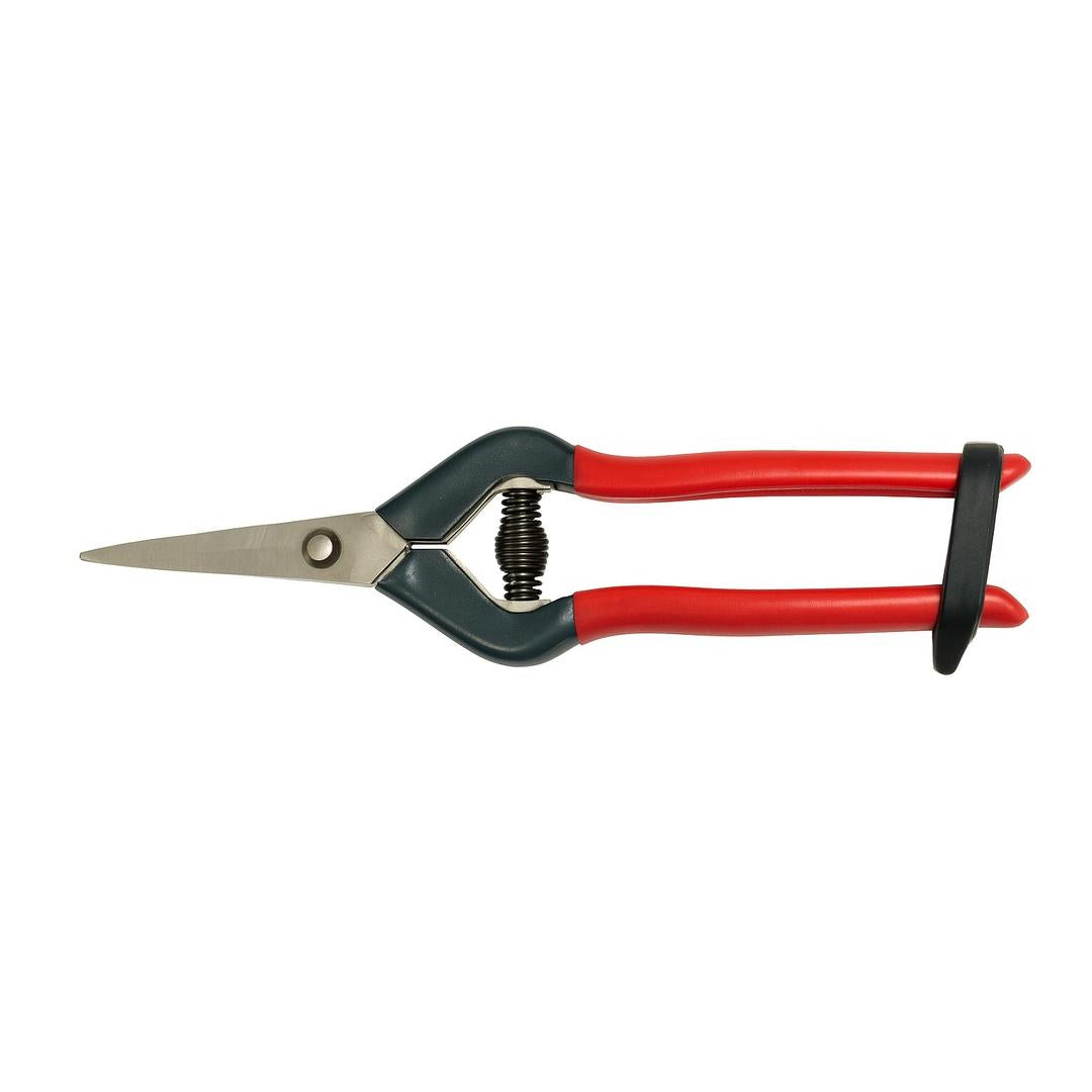Chikamasa T-55SC Picking Snips – Precision Harvesting with Stainless S