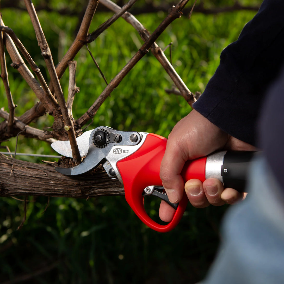 FELCO 812+ - Electric Pruning Shear - Maximum Endurance Kit