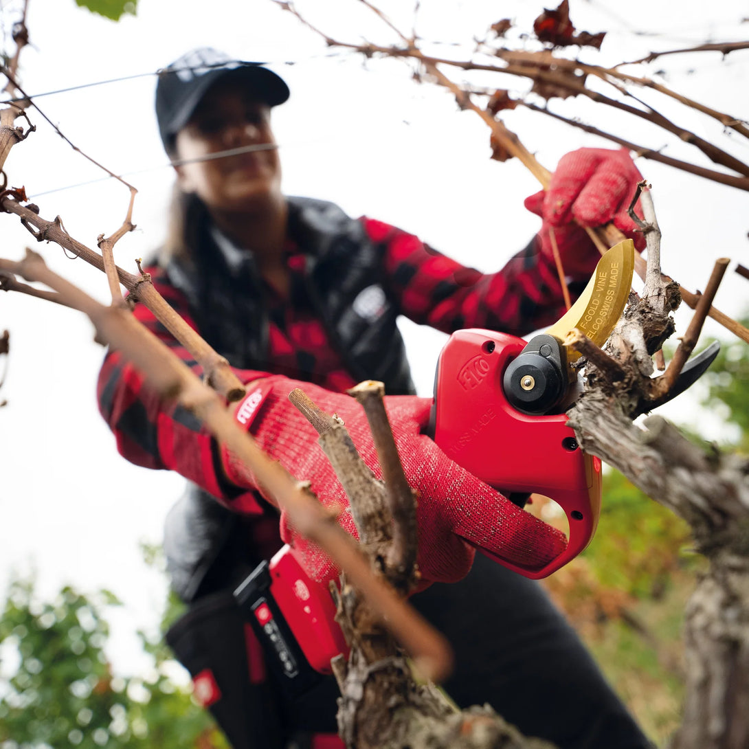 FELCO 834V - Electric Pruning Shear Kit (Vine Cutting Head)
