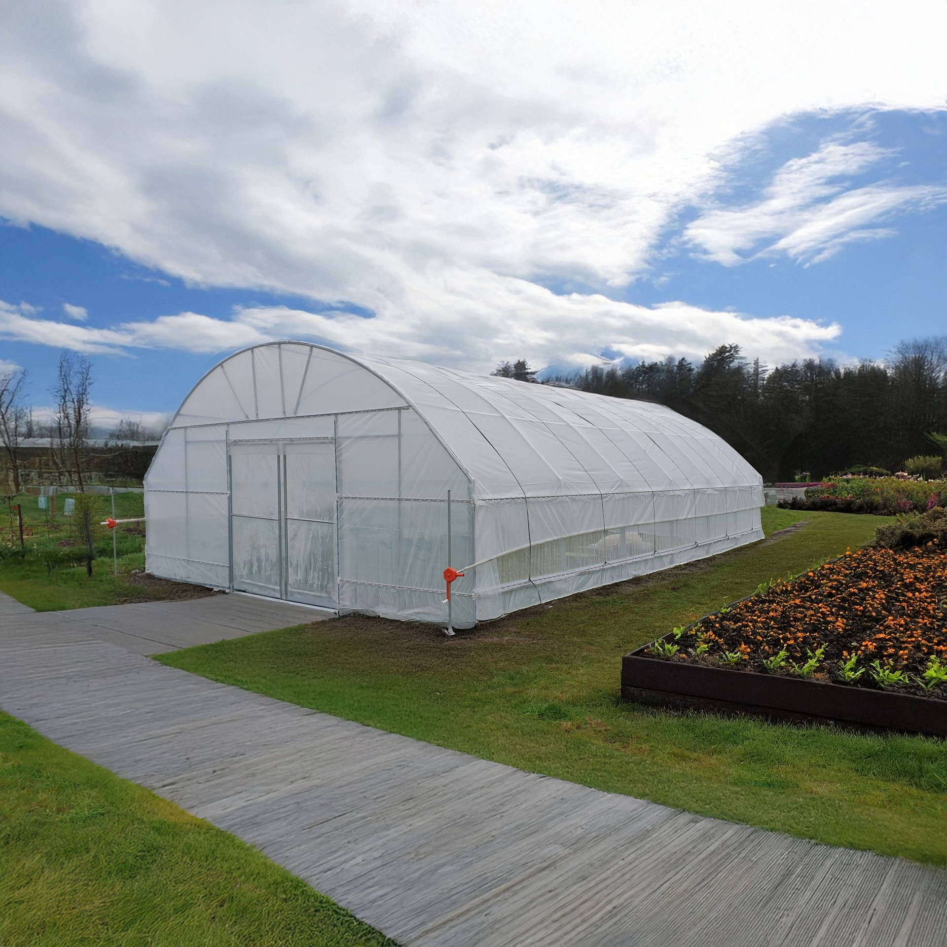 Pro Polytunnel Greenhouse | Commercial-Grade Strength for Harsh Conditions
