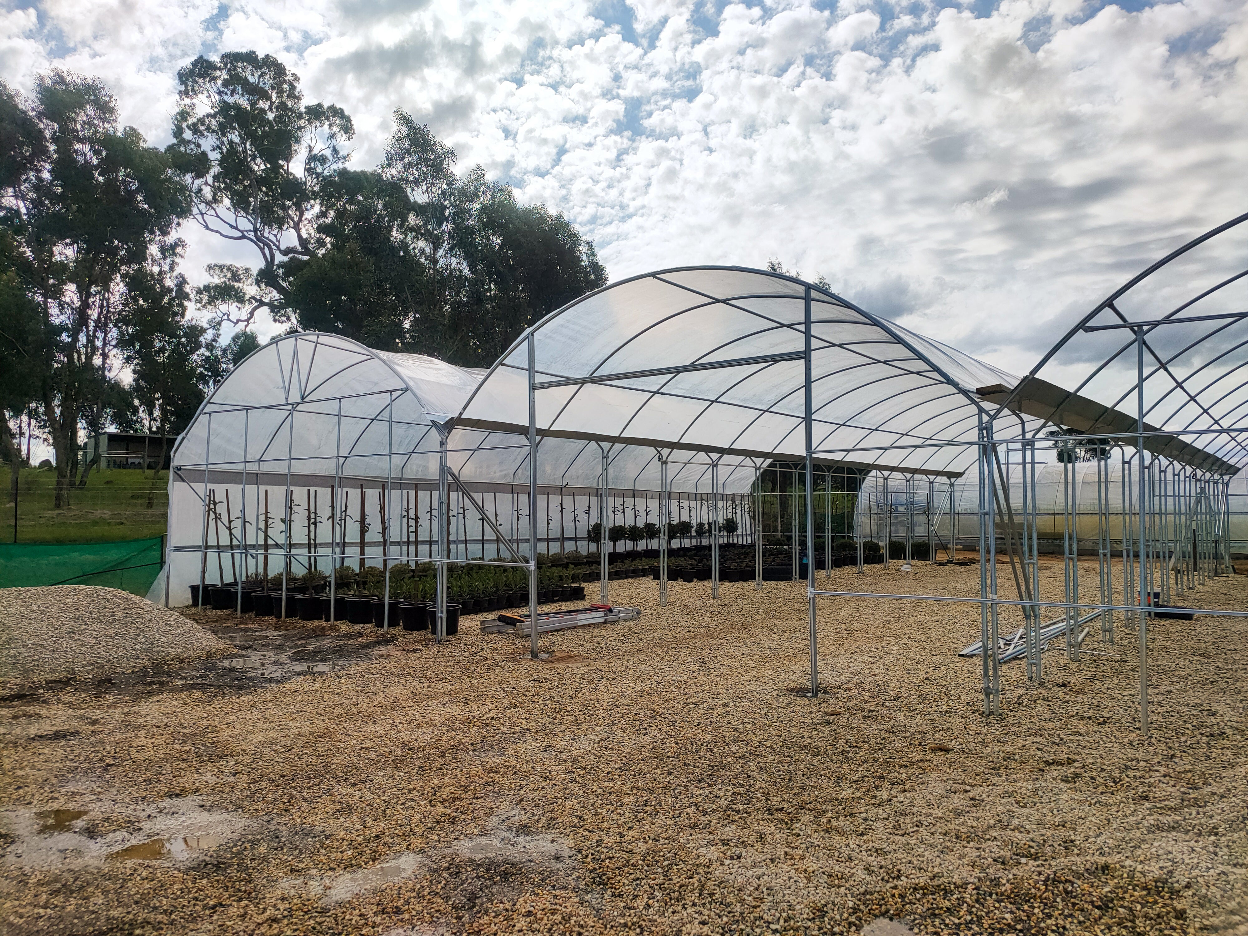 Multispan Polytunnel | Heavy-Duty Commercial Greenhouse