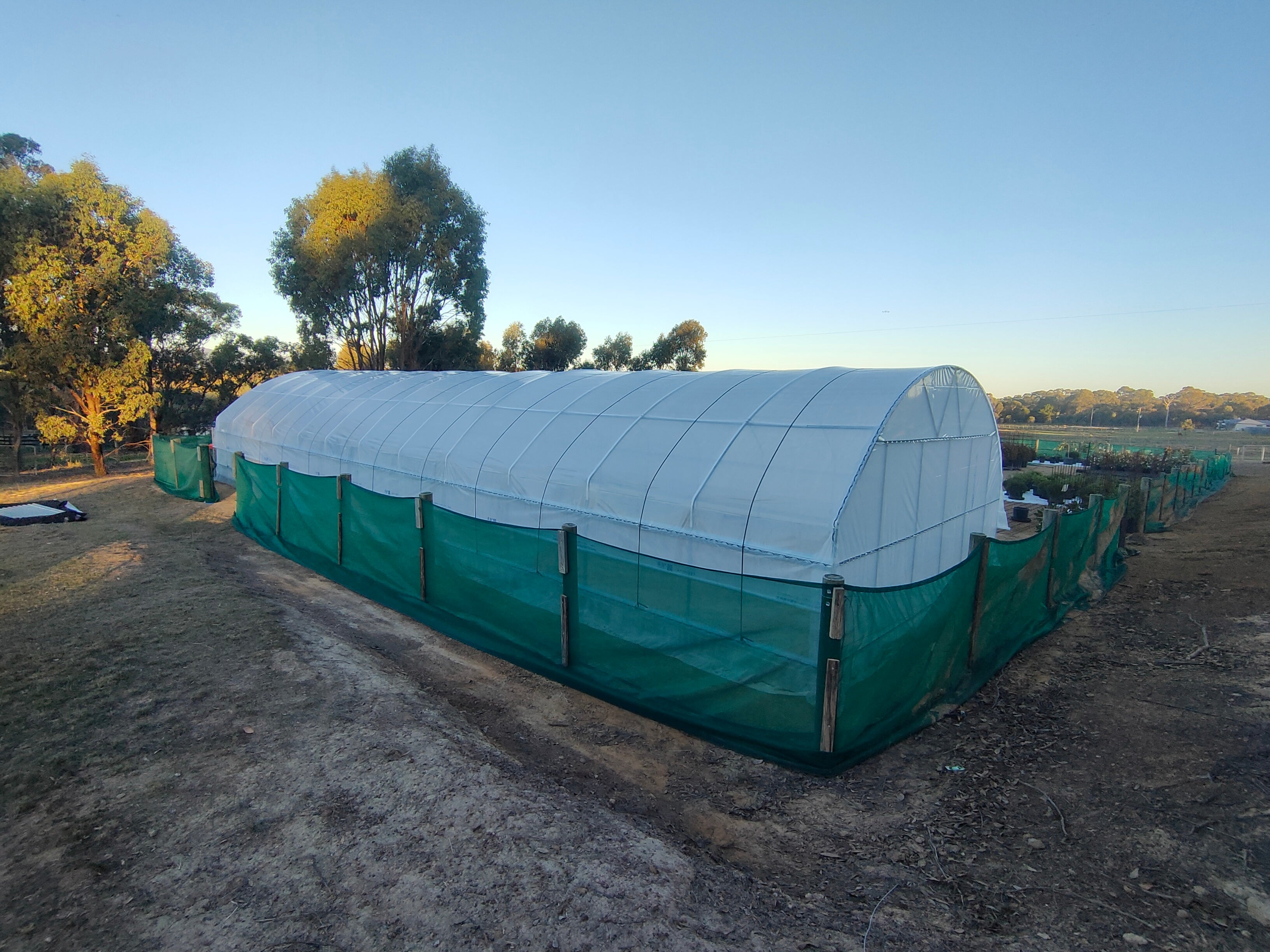 Pro Polytunnel Greenhouse | Commercial-Grade Strength for Harsh Conditions