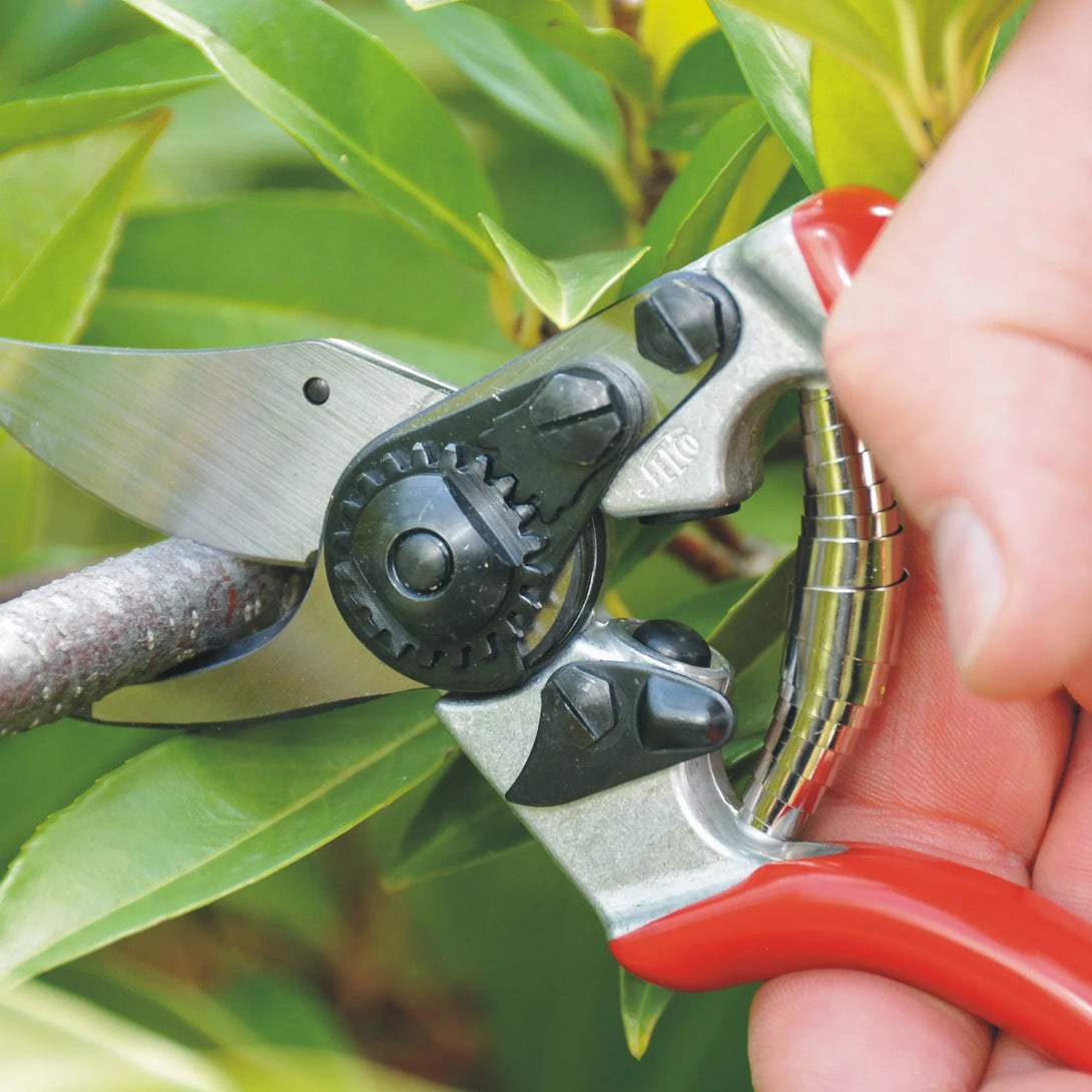 FELCO 6/6 - Replacement Anvil Blade Screw | Greenhouse & Polytunnels