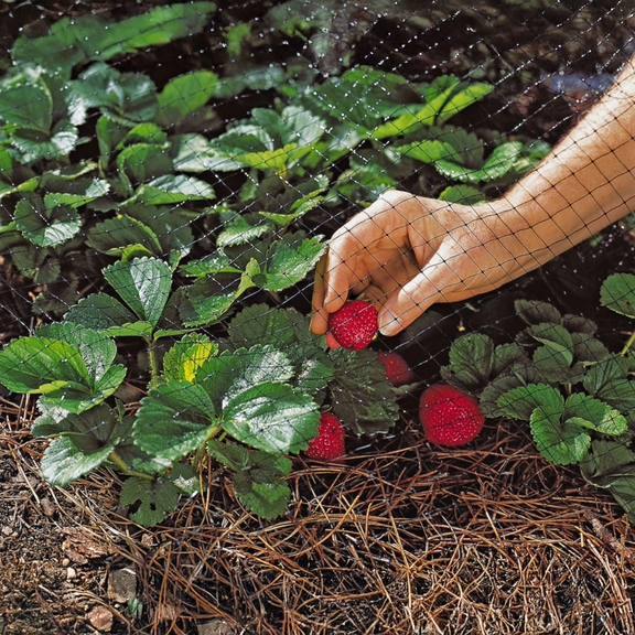 Extruded Bird Netting - 4m x 100m - Durable Polyethylene Mesh for Gard