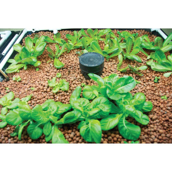 Hydroponic Expanded Plant Growing Medium - 50L | Hydroponics