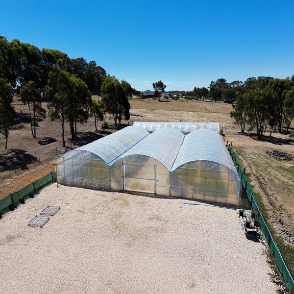 Multispan Polytunnel | Heavy-Duty Commercial Greenhouse