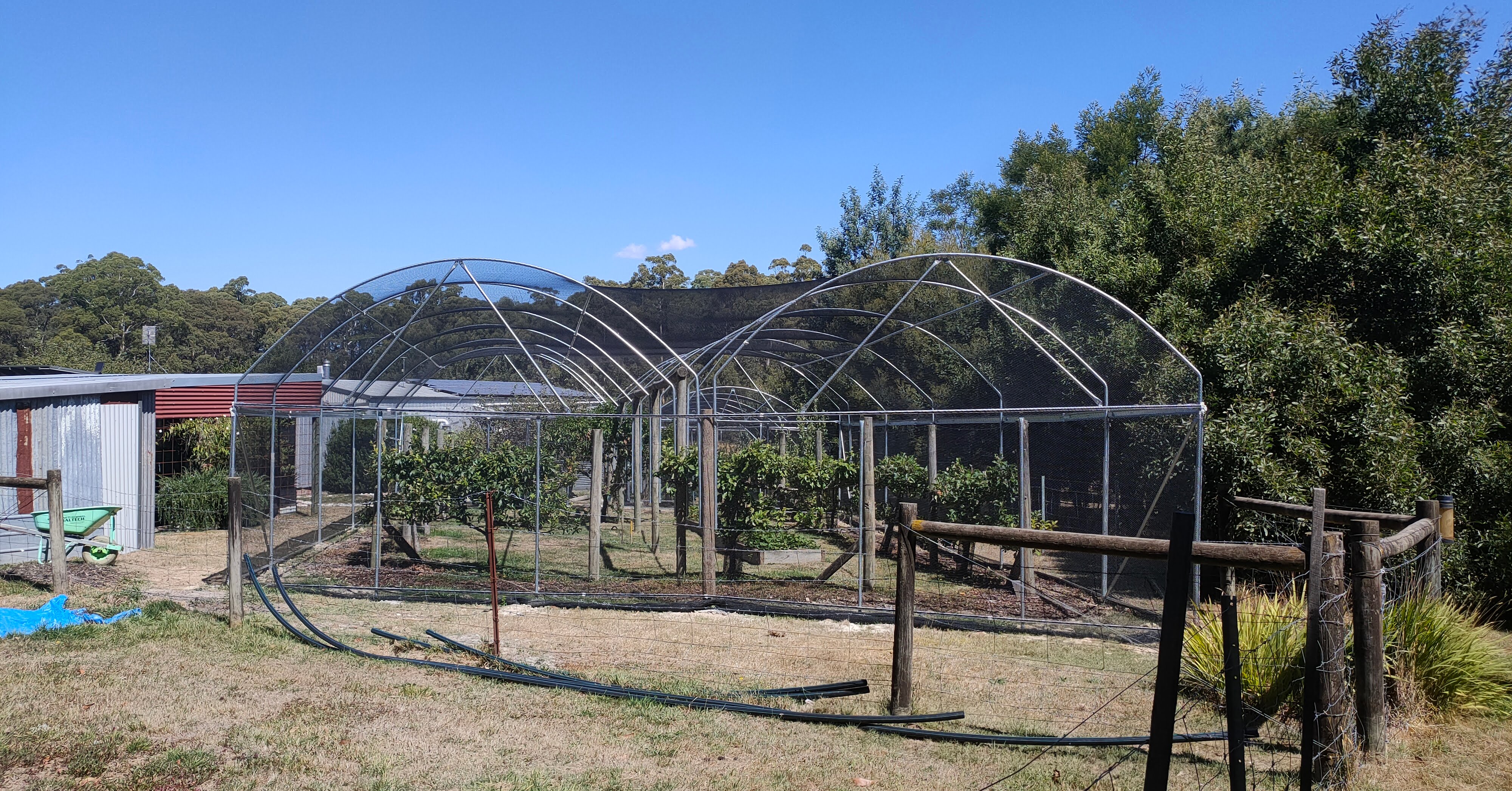 Multispan Net House | Tree Protection for Nurseries & Orchards
