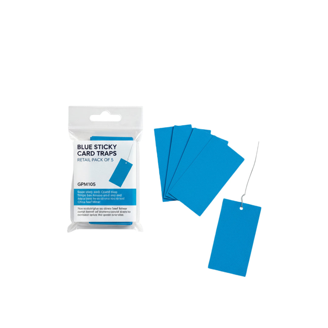 Blue Sticky Card Trap – Retail Pack of 5 | Greenhouse & Polytunnels