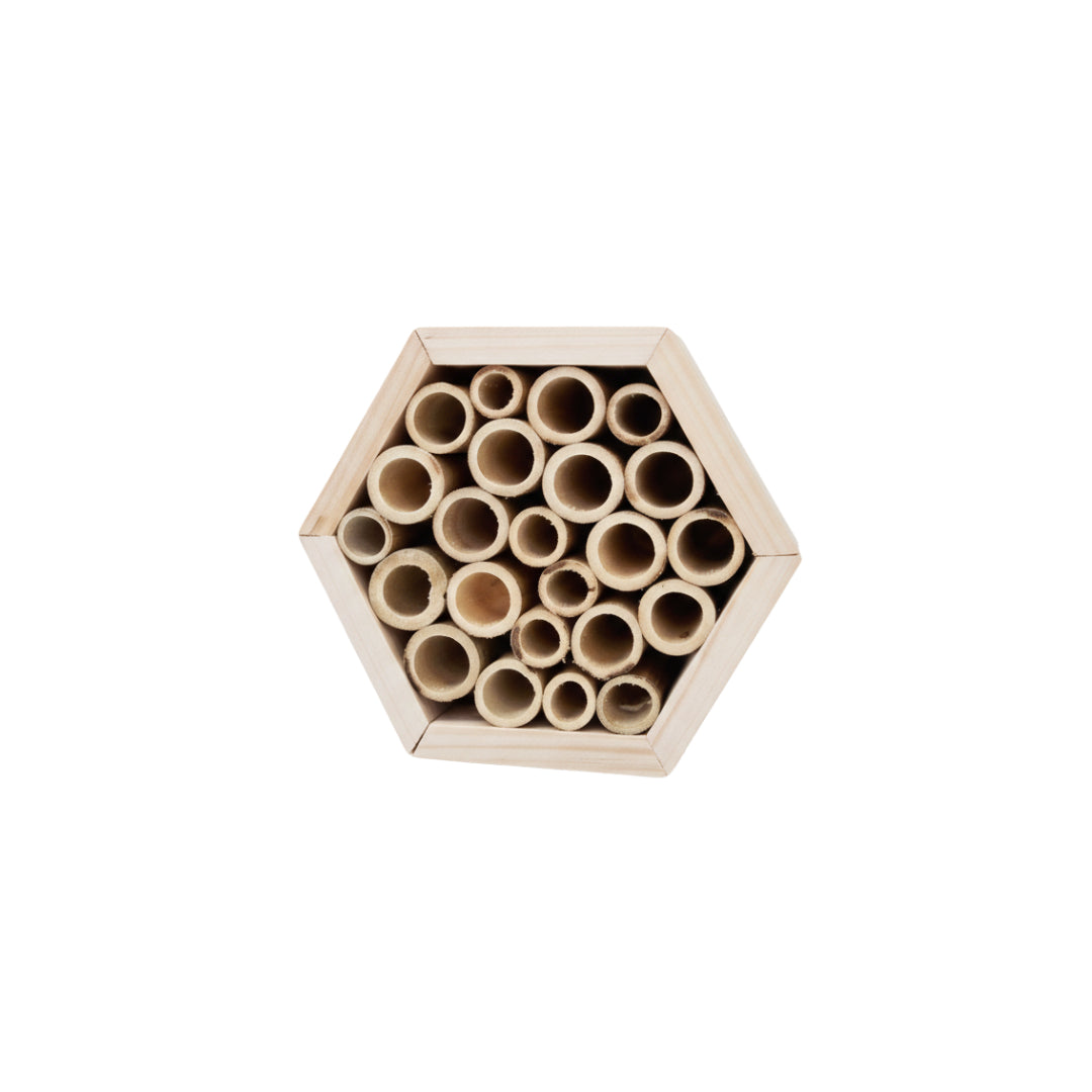 Hexagon Bamboo Insect Hotel – Stackable Modular Habitat for Native Bee