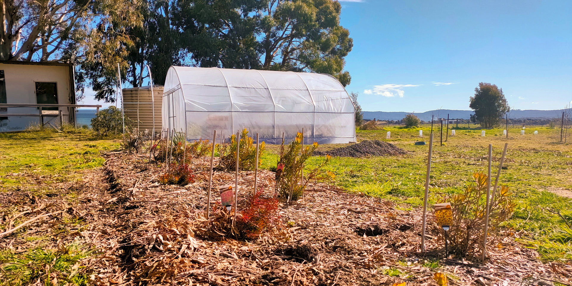 Shop Greenhouses, Polytunnels & Shade Houses | Premium Kits ...
