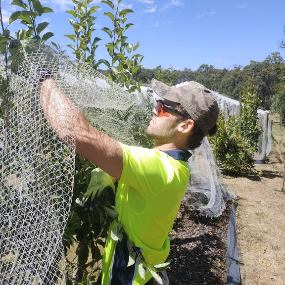 Diamond Mesh Bird Netting 16mm | Commercial-Grade Crop Protection | 5-8 ...